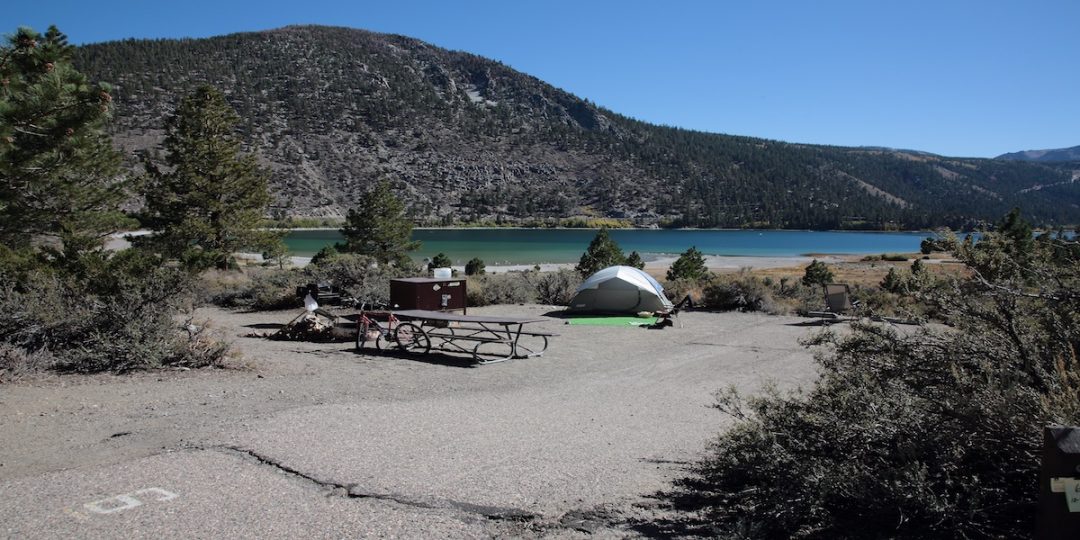 Camping With Privacy